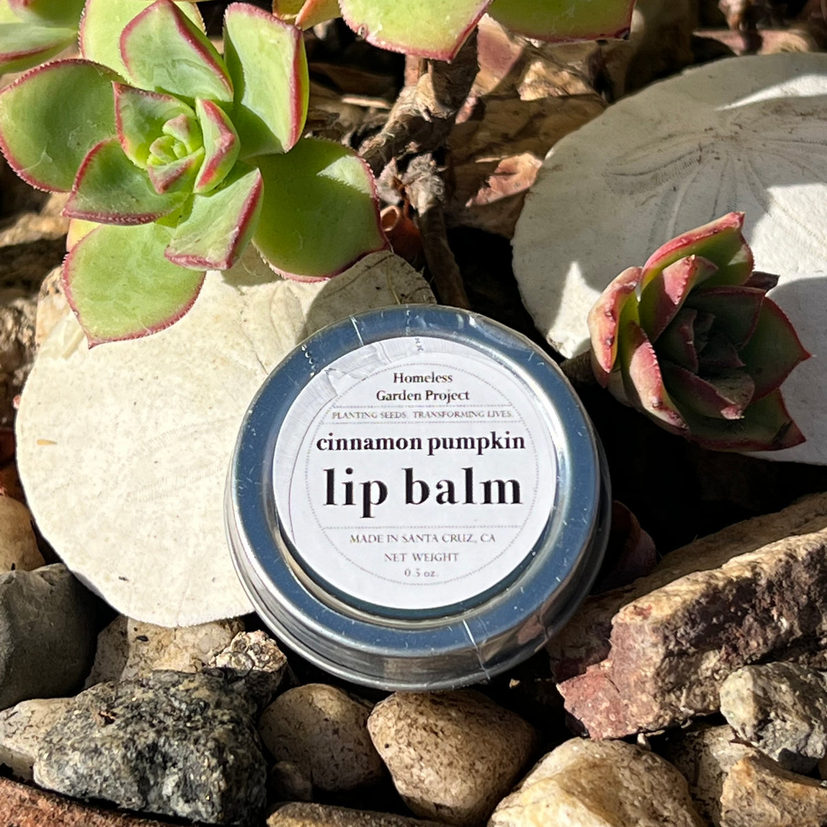 Shop Cinnamon Pumpkin Lip Balm | Homeless Garden Project Store