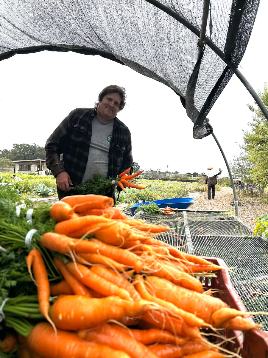 Shop 2025 CSA Fall/ Winter Extension | Homeless Garden Project Store