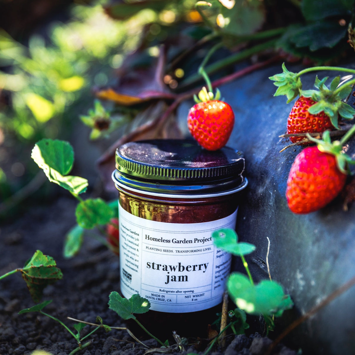 Shop Strawberry Jam - HGP | Homeless Garden Project Store 5
