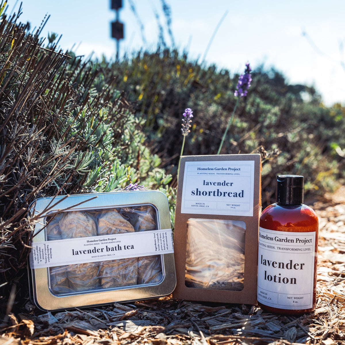 Shop The Mini Lavender Lover | Homeless Garden Project Store