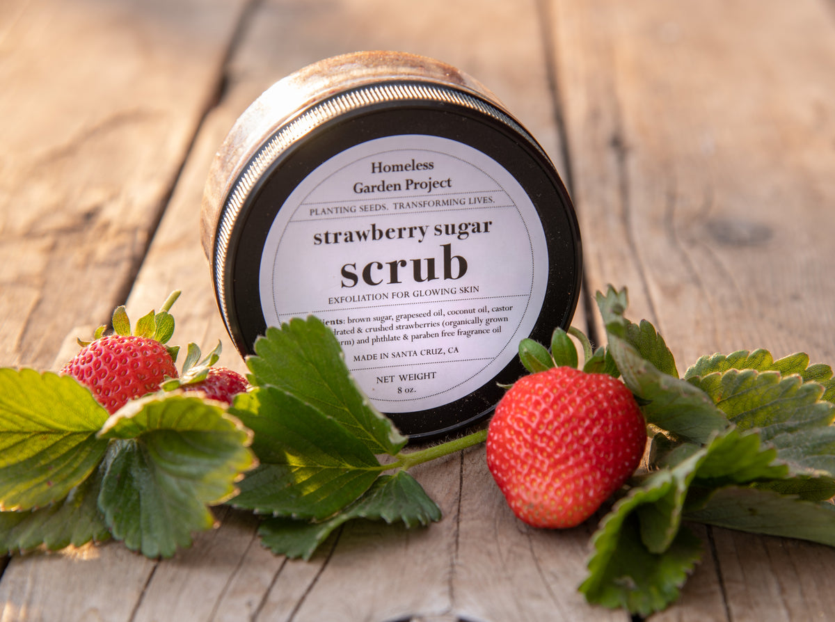 Shop Strawberry Sugar Scrub | Homeless Garden Project Store 1